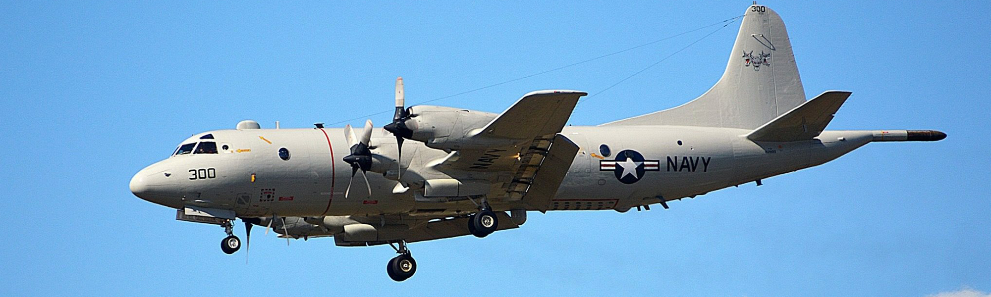 VX-30_P-3_banner | NAWCWD